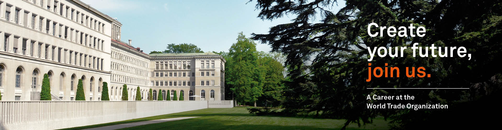 WTO Website Search for Jobs